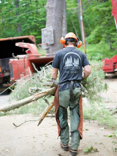 Residential & Commercial Lot Clearing | Naples, Bridgton & Raymond, ME ...