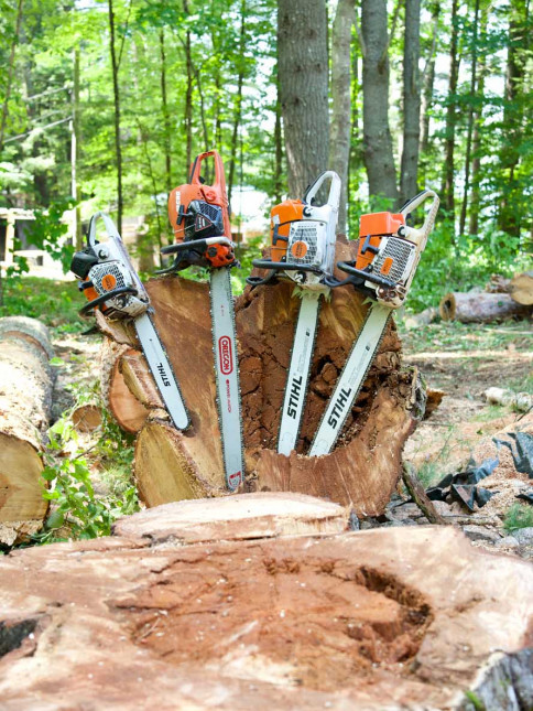 Local Tree Company | Local Tree Contractor | Bridgton, Falmouth, Naples ...